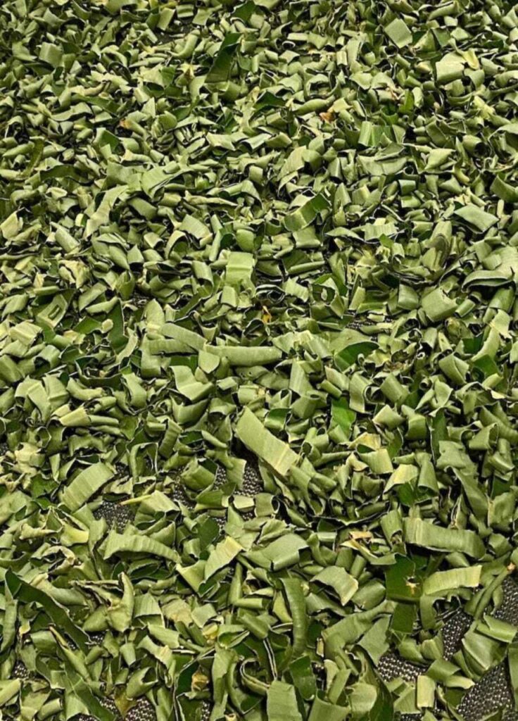 Health Benefits of Dehydrated Coconut: Boost Energy & Support Digestion